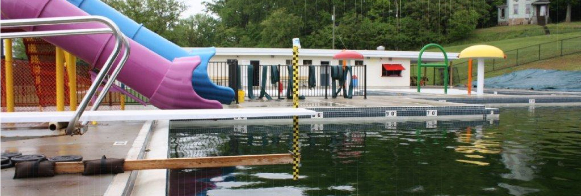 Case Study: Spinal Cord Injury in Swimming Pool Diving Accidents | ARCCA