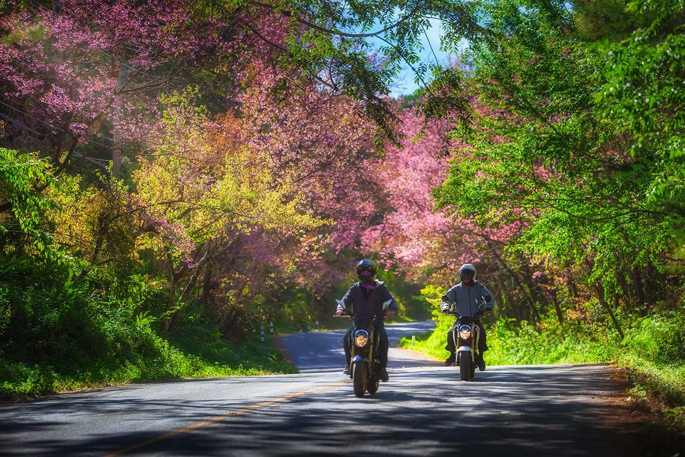5 Springtime Safety Tips for Motorcycle Riders | ARCCA